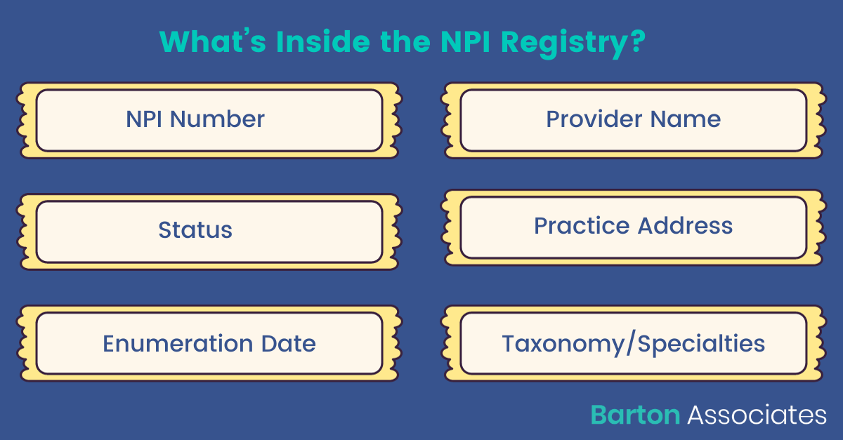 NPI Registry Explained: How to Do NPI Number Lookups and More